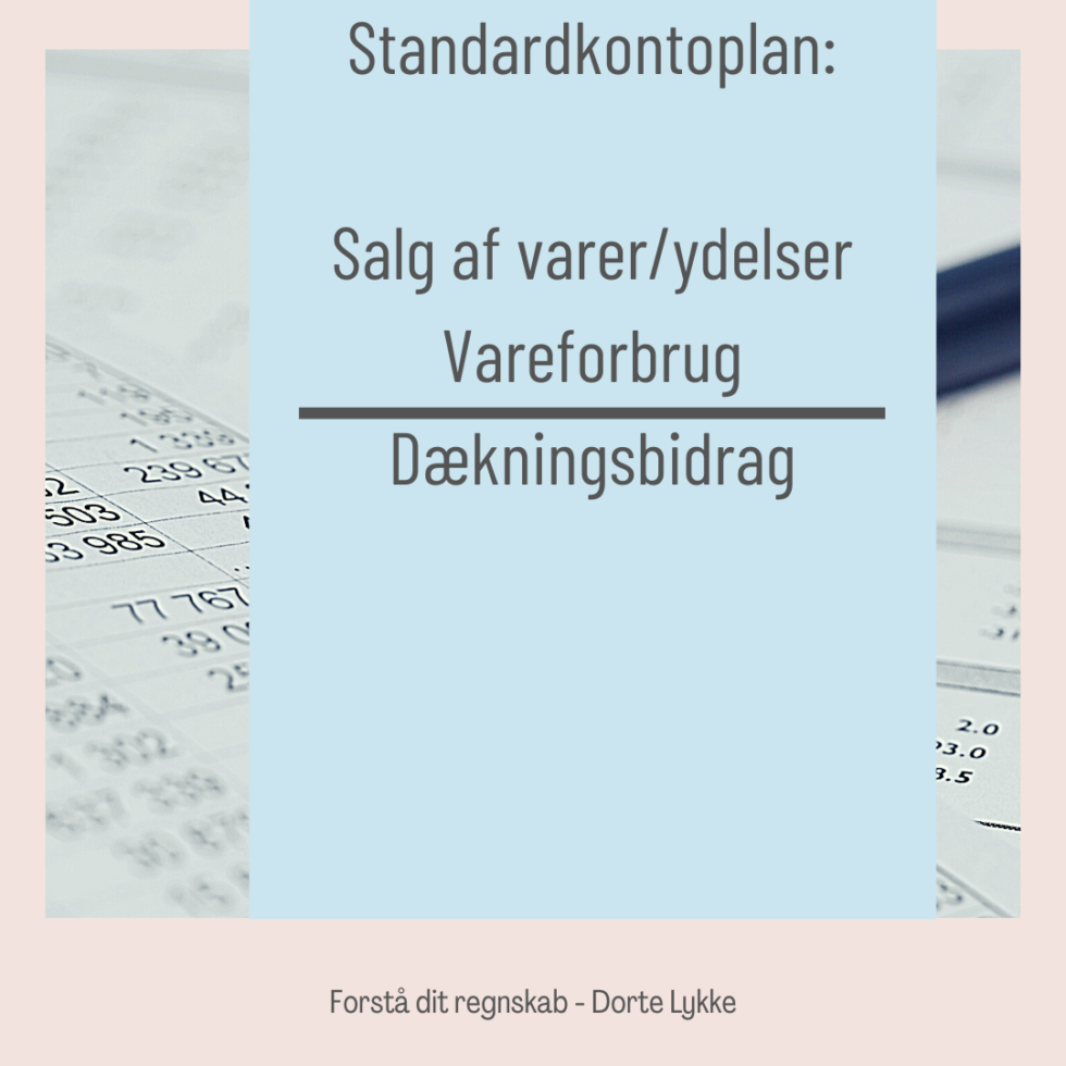 Tilpas din kontoplan - Dorte Lykke